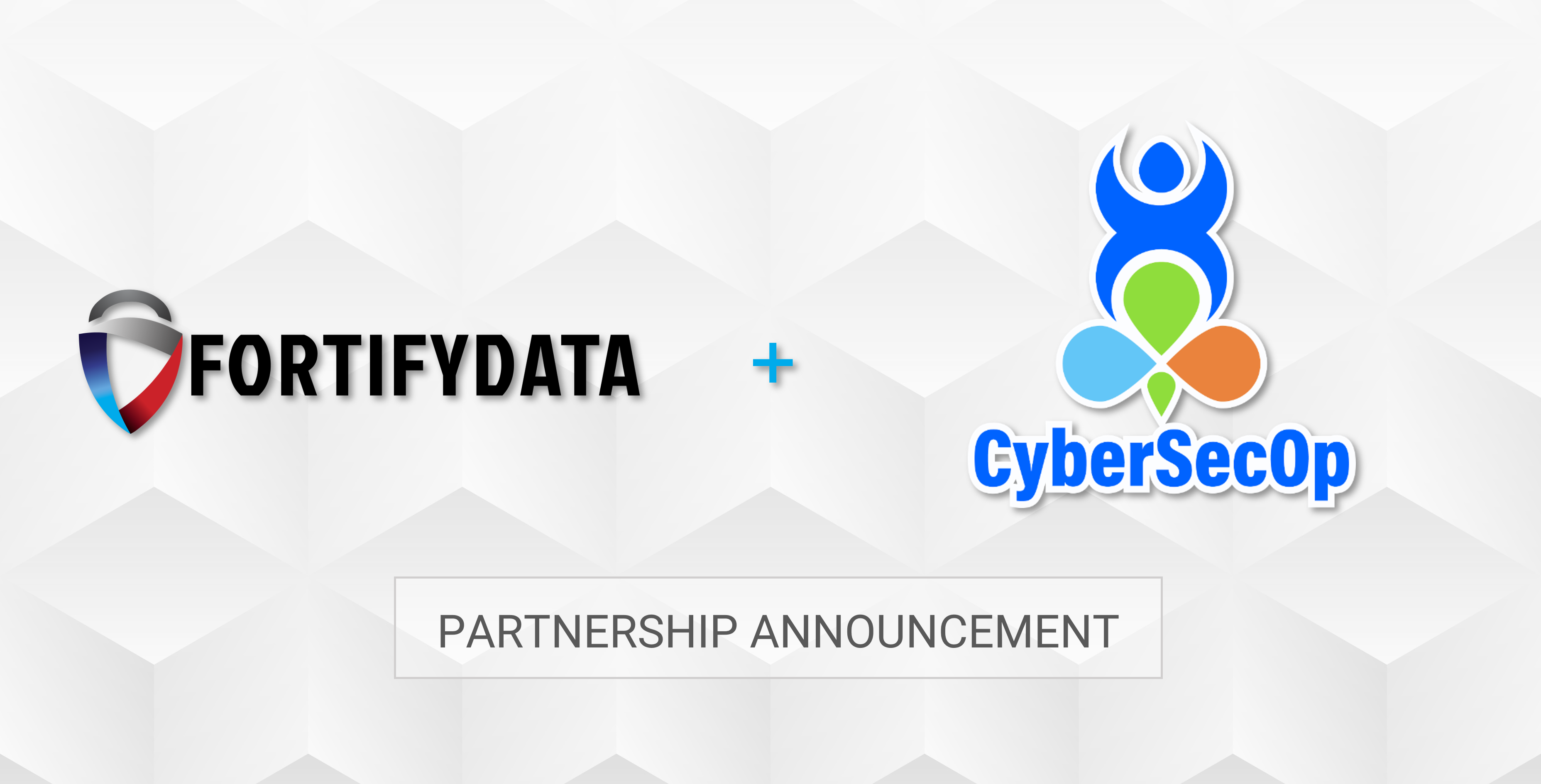 CyberSecOp Partners with FortifyData to Provide Continuous Enterprise Cyber Risk Management ...